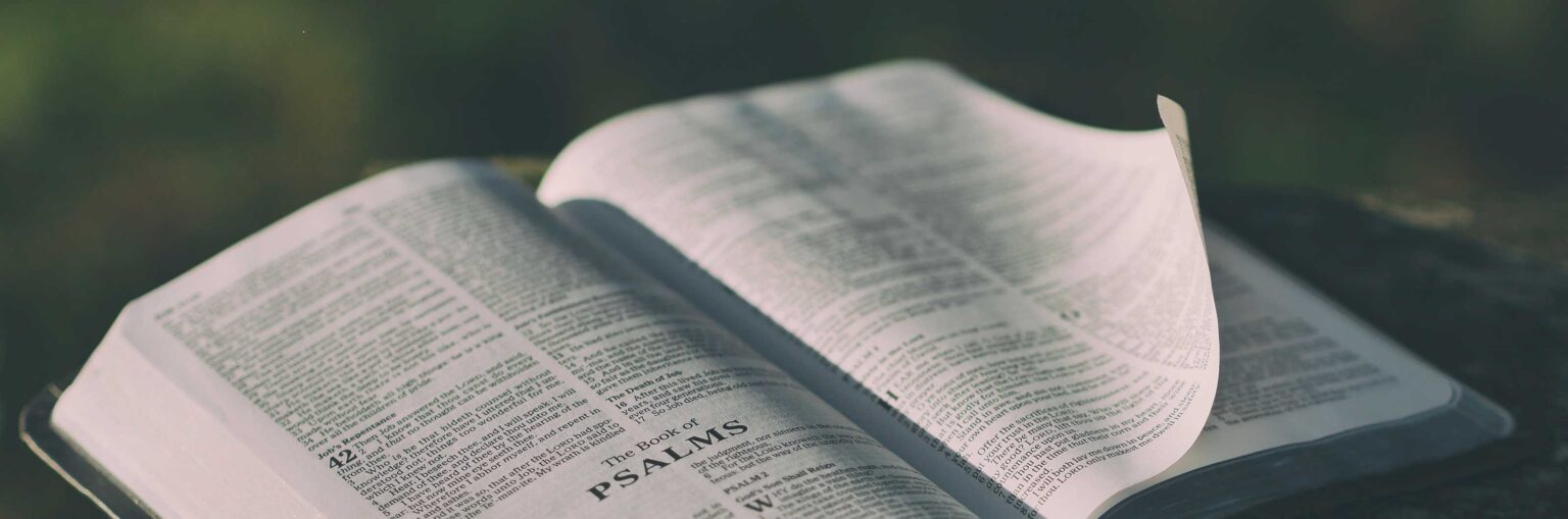The Authority of Scripture: Giving God the Final Word – BJU Seminary